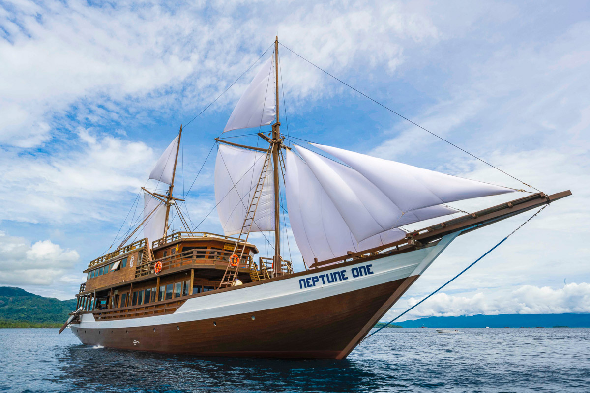 Neptune One - Day-Trip and Liveaboard Boat